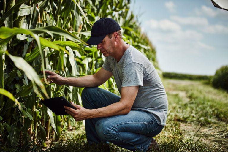 Stabilizing China's agriculture: The agriculture insurance market in China