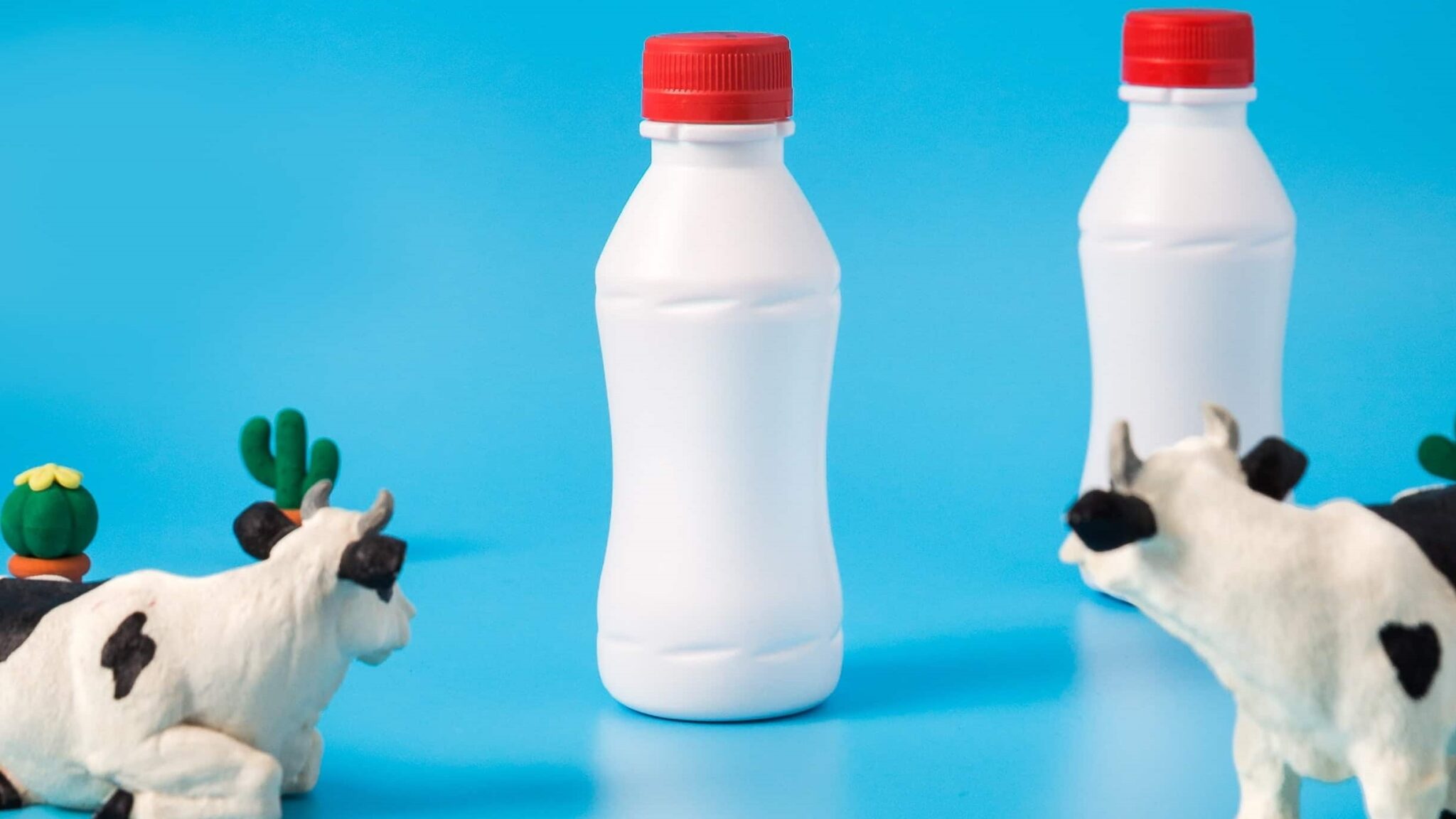 Growing demand for dairy products boosts the Chinese milk market