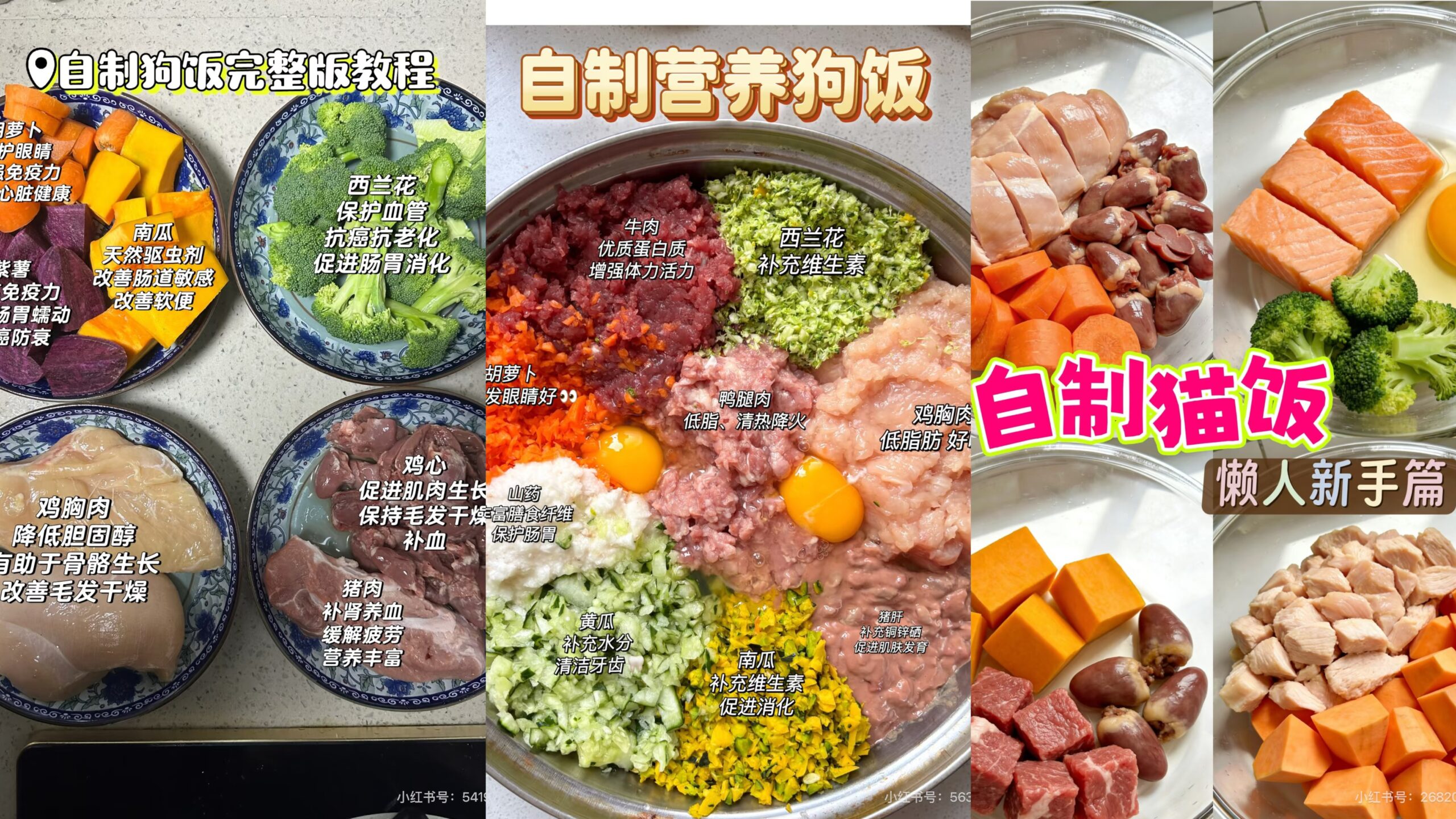 Why subscription-based pet food business is booming in China